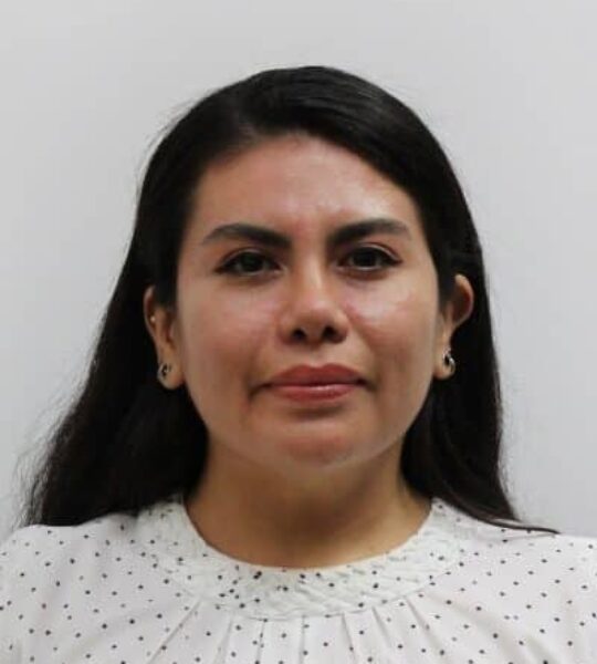 About Us – Secretaría de Desarrollo Urbano y Movilidad